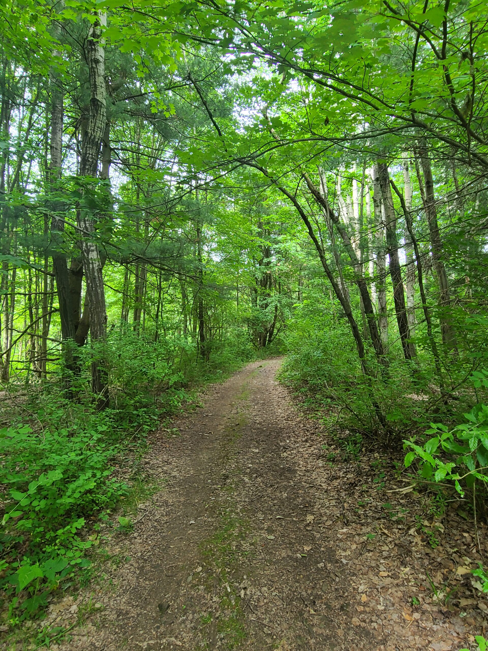 Nature park tour scheduled for August 5 | News, Sports, Jobs - Observer ...